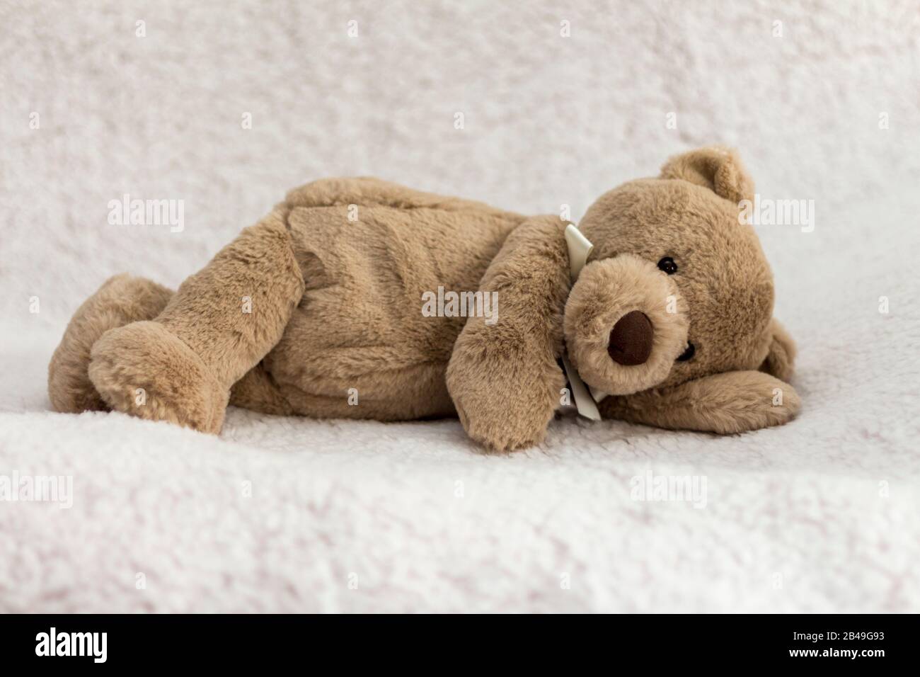Teddy bear used for information in setting up a baby photographic set ...