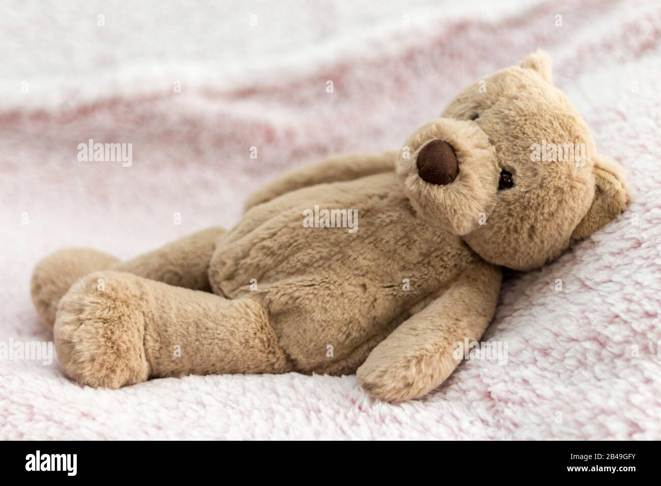 Teddy bear used for information in setting up a baby photographic set ...