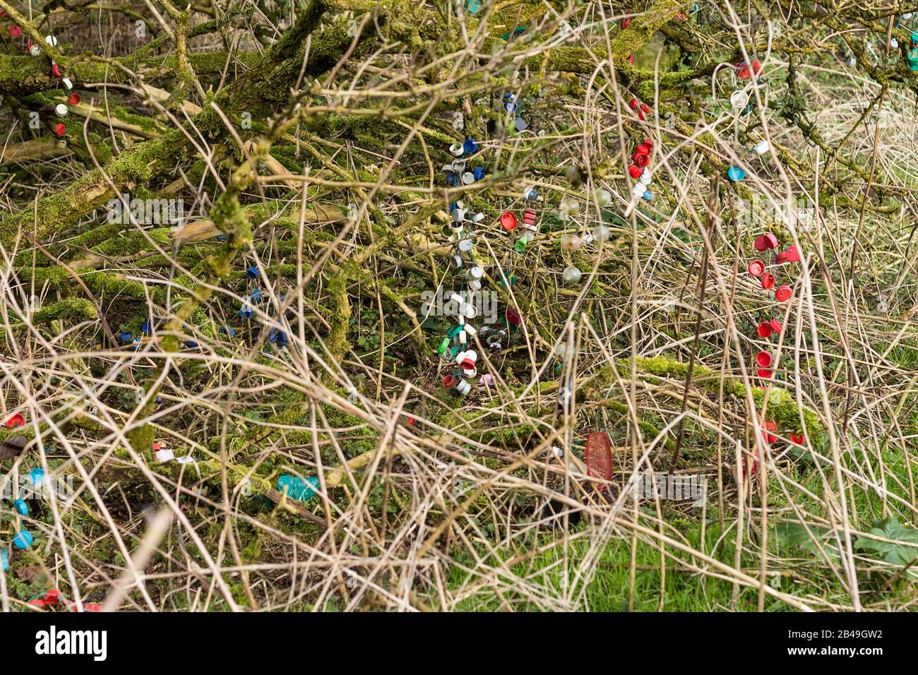 Irish folklore fairy hi-res stock photography and images - Alamy