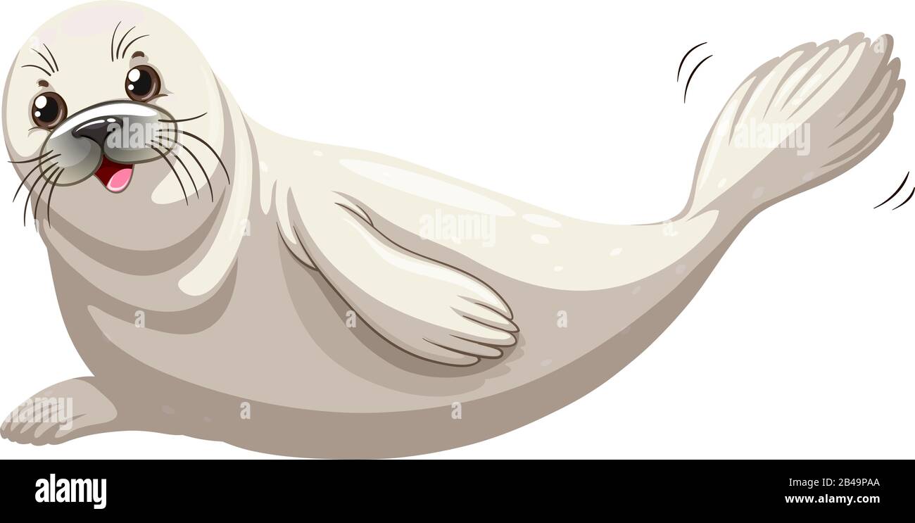Illustration of seals, with white background vector Stock Vector Image ...