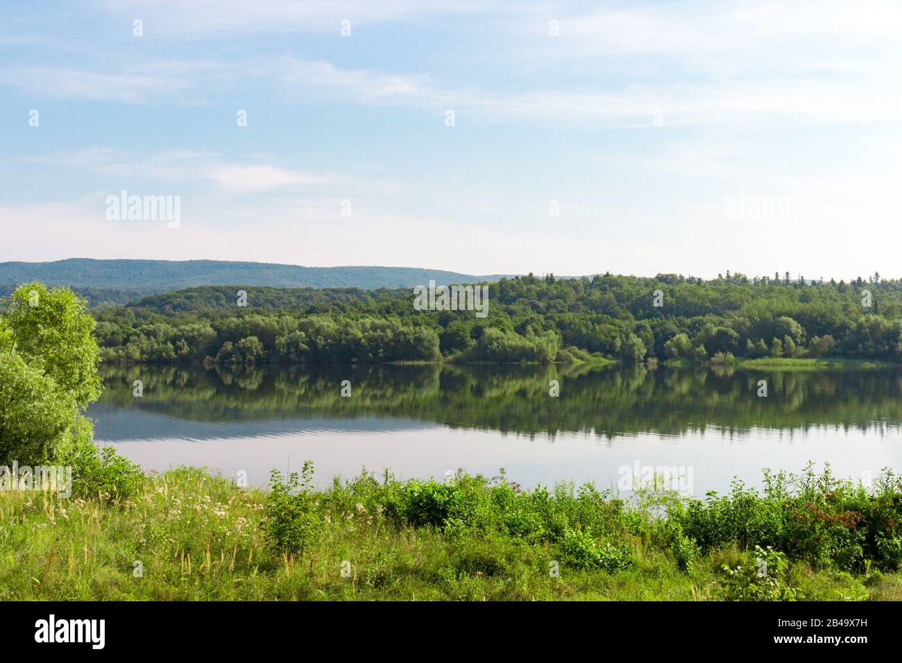 Natural view on a rural pond and a green forest. Clear blue sky ...