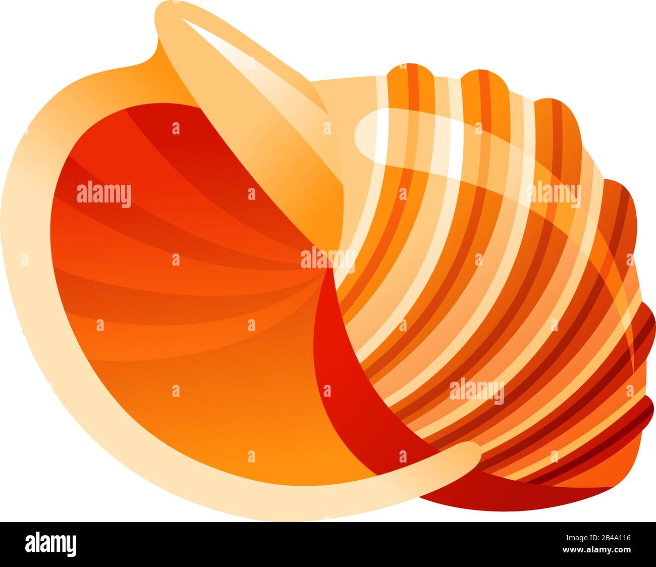 Illustration of shell, with white background vector Stock Vector Image ...