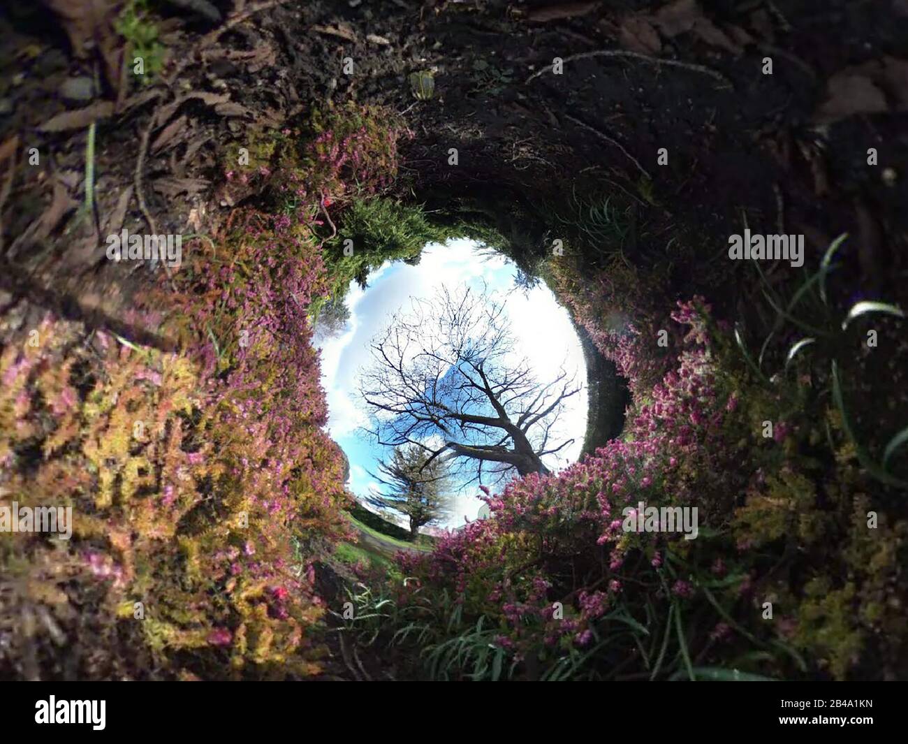 Inverted tiny planet Stock Photo - Alamy