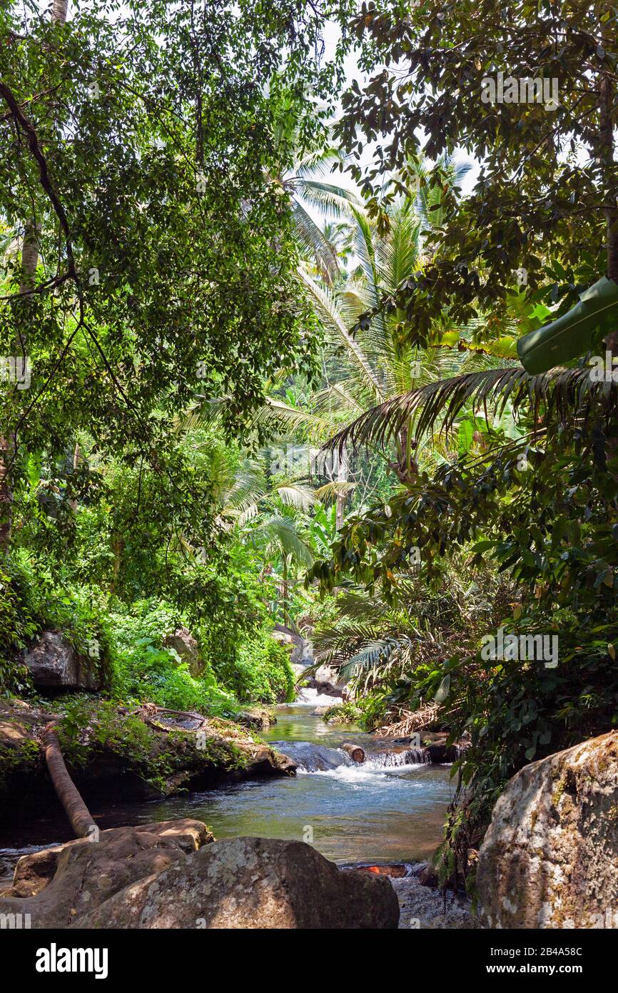 Indonesia, Bali, Tampaksiring, Pura Gunung Kawi (Temple), Pakerisan ...
