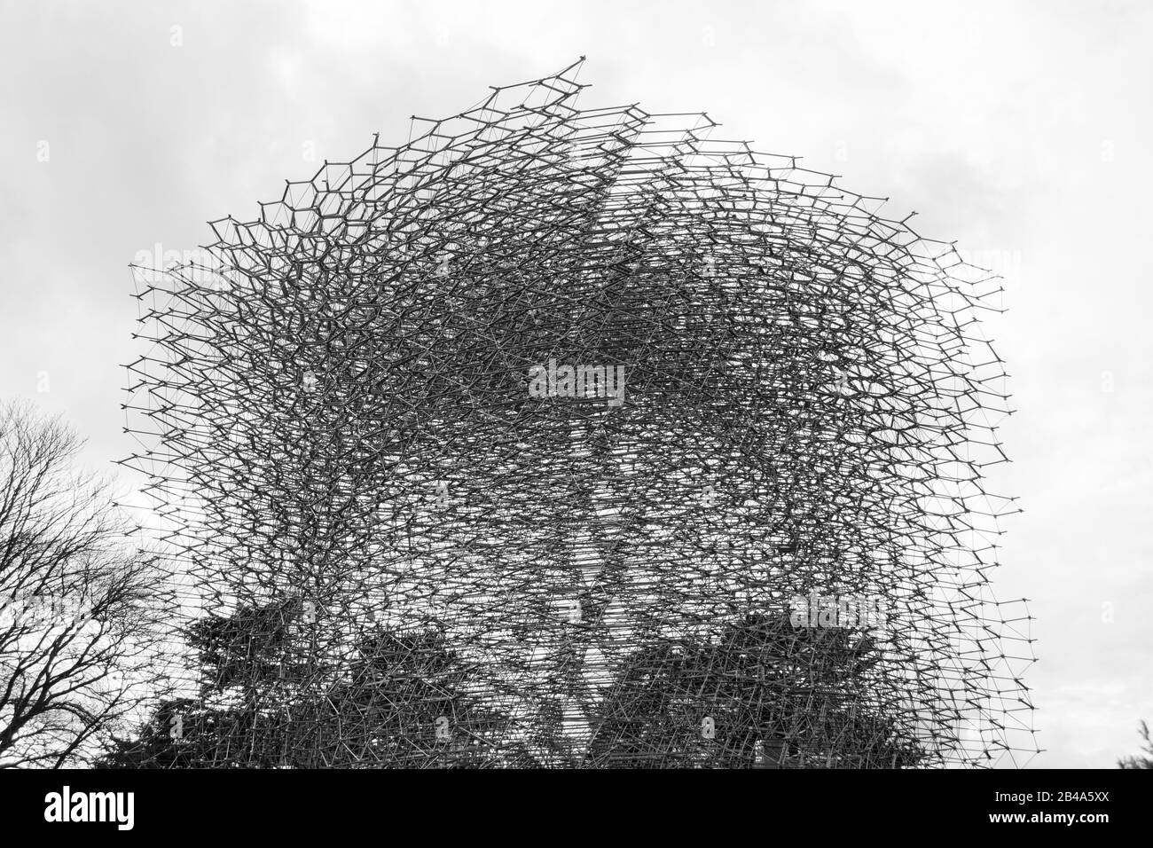 The Hive installation by Wolfgang Buttress in Kew Gardens, Royal ...