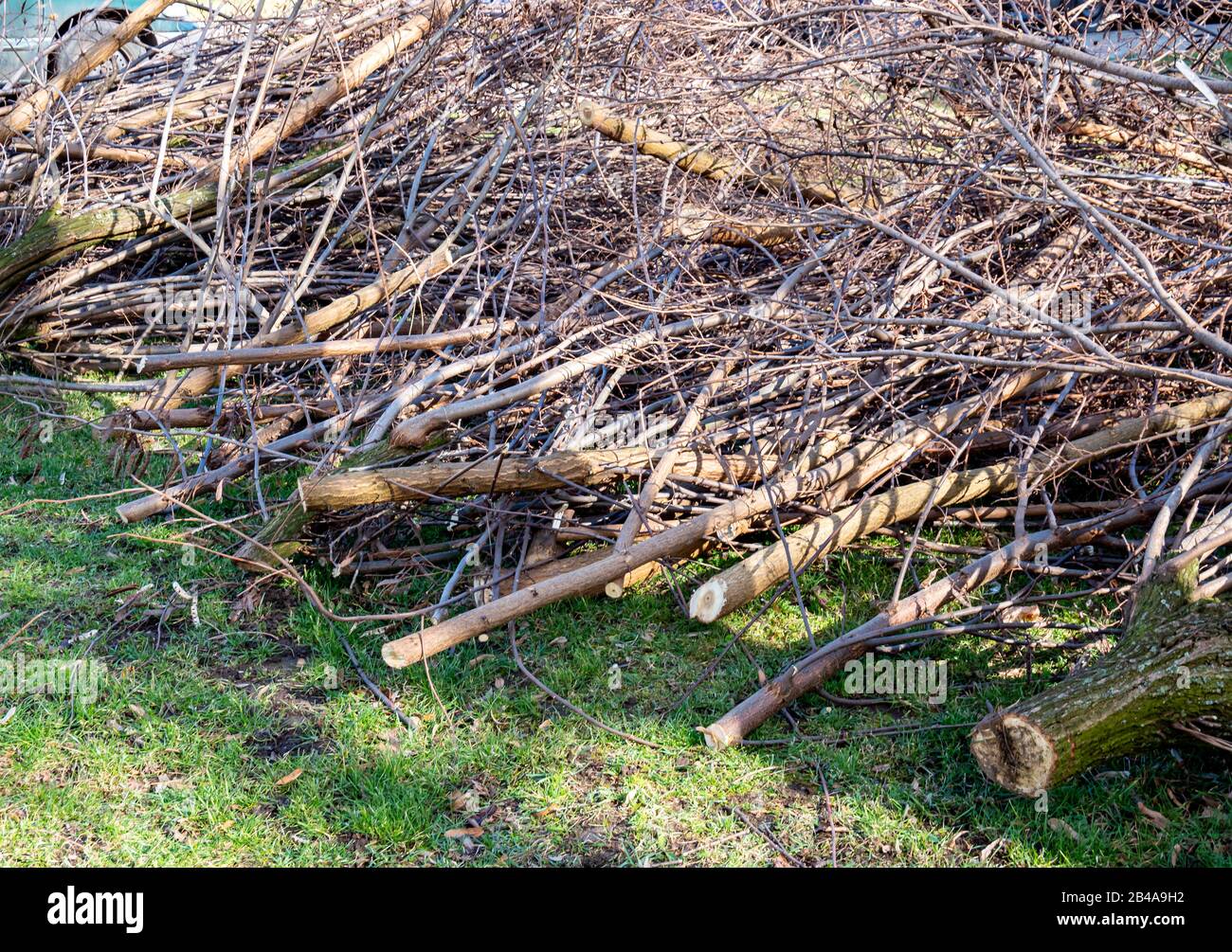 Tree hedge pruning waste hi-res stock photography and images - Alamy