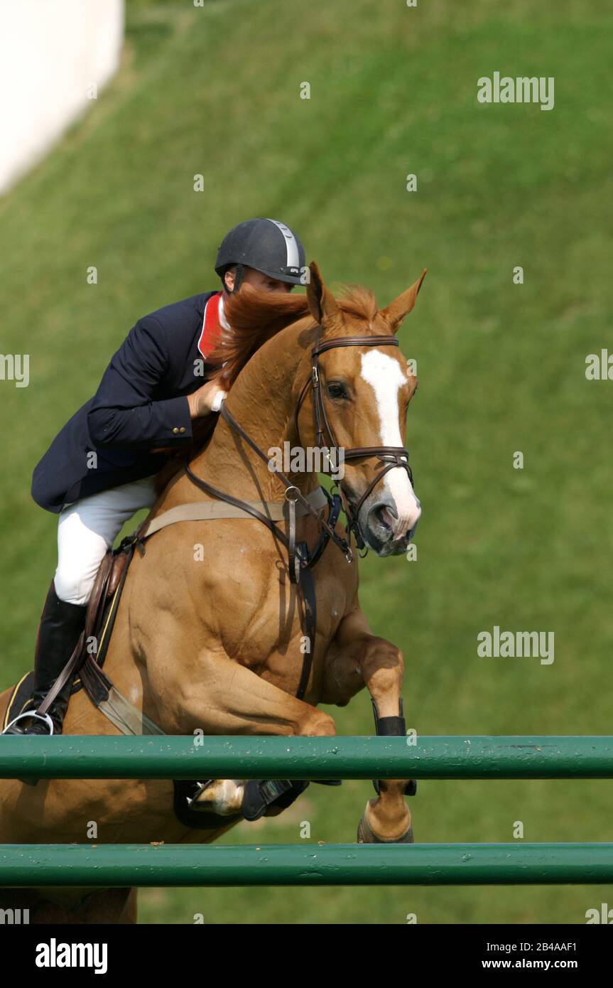 Rex horse hi-res stock photography and images - Alamy