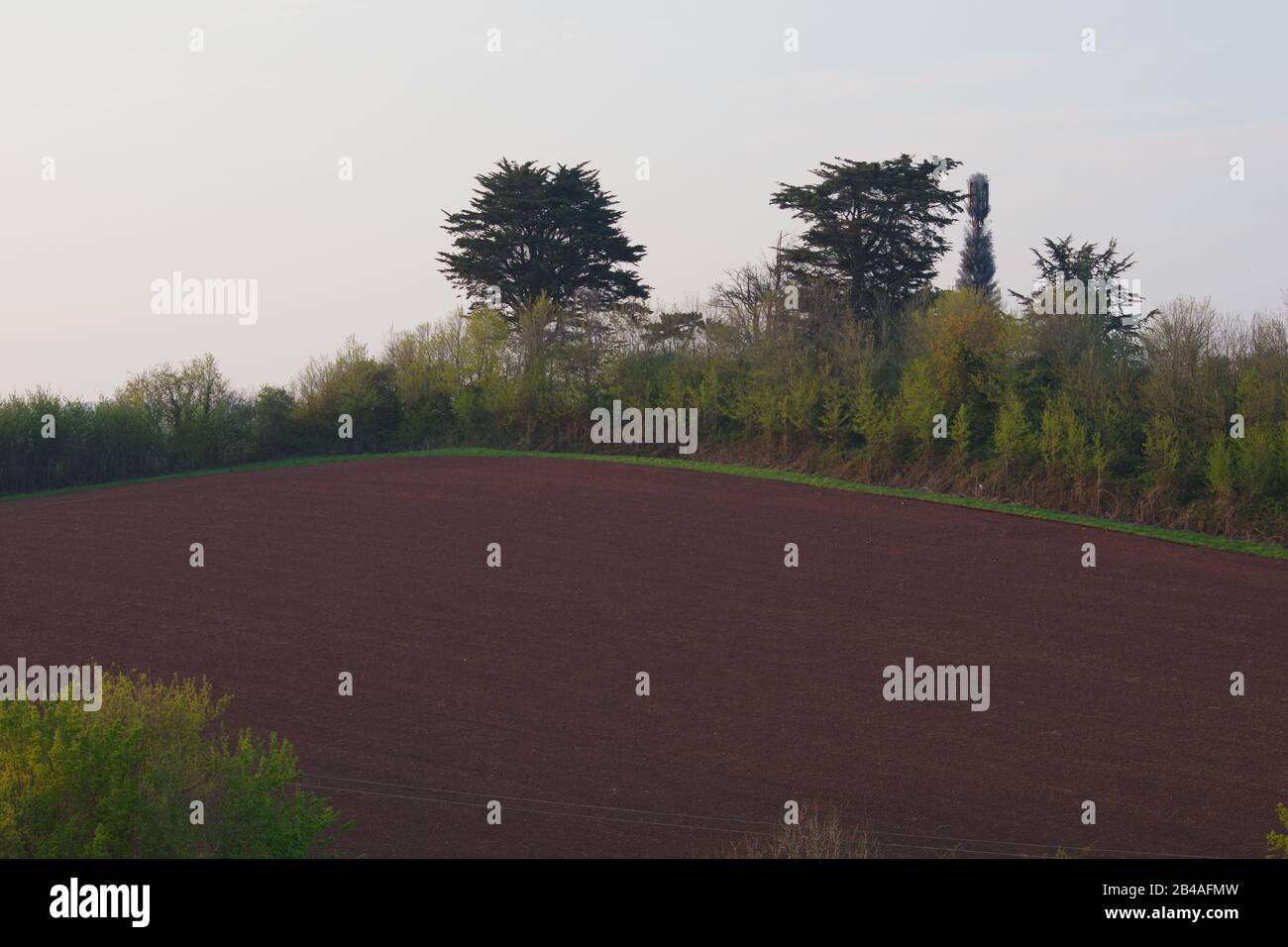 Ploughed Field of Fertile Red Devon Soil on a Spring Day at Dusk ...