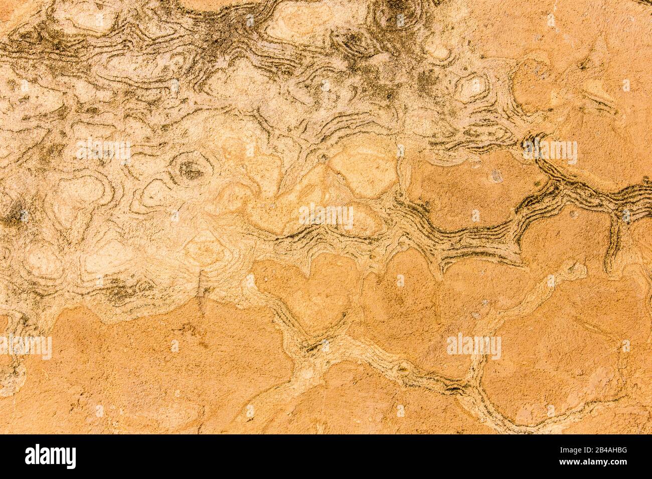 Closeup of tabby wall in Horton House Jekyll Island, Georgia. Textured ...