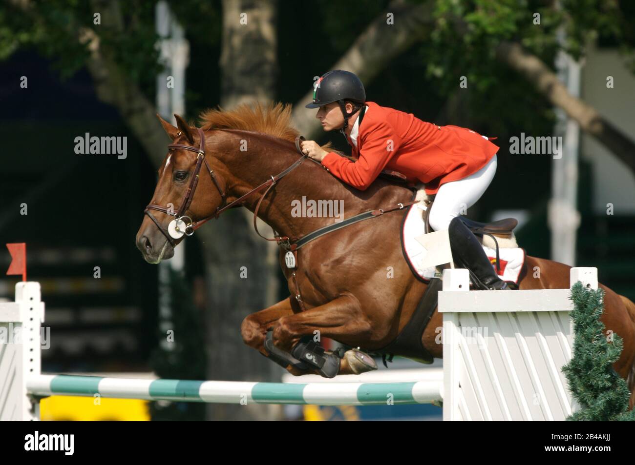 The North American, Spruce Meadows 2006, Pengrowth Cup, Alberto Michan ...
