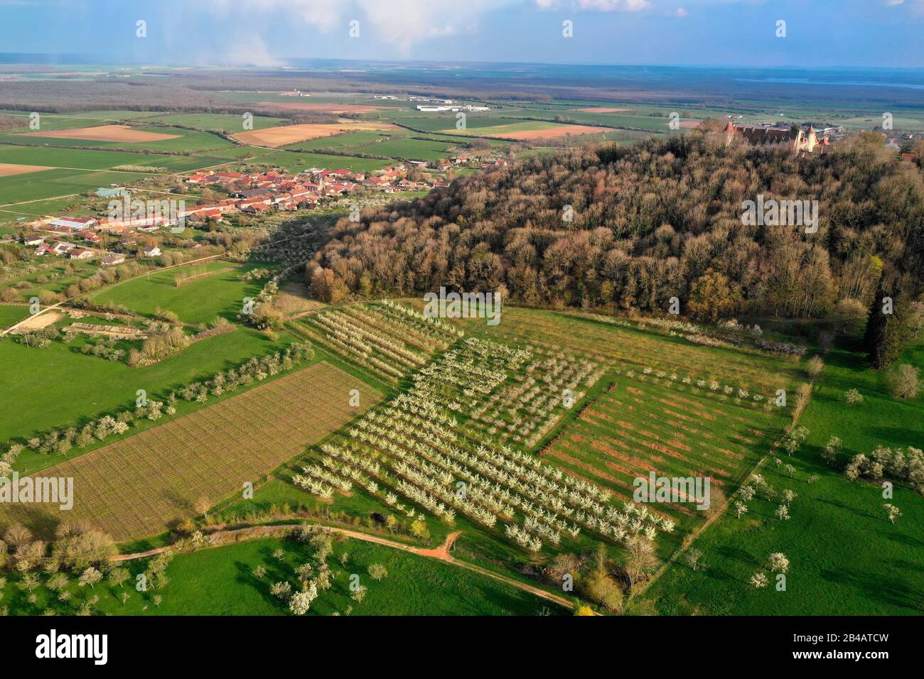 France, Meuse, Lorraine Regional Park, Cotes de Meuse, Vigneulles les ...