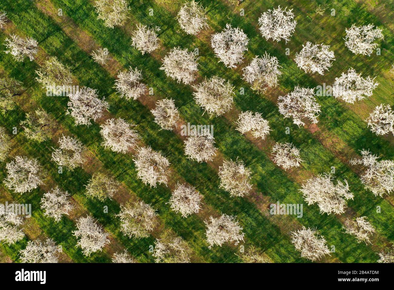 France, Meuse, Lorraine Regional Park, Cotes de Meuse, Vigneulles les ...