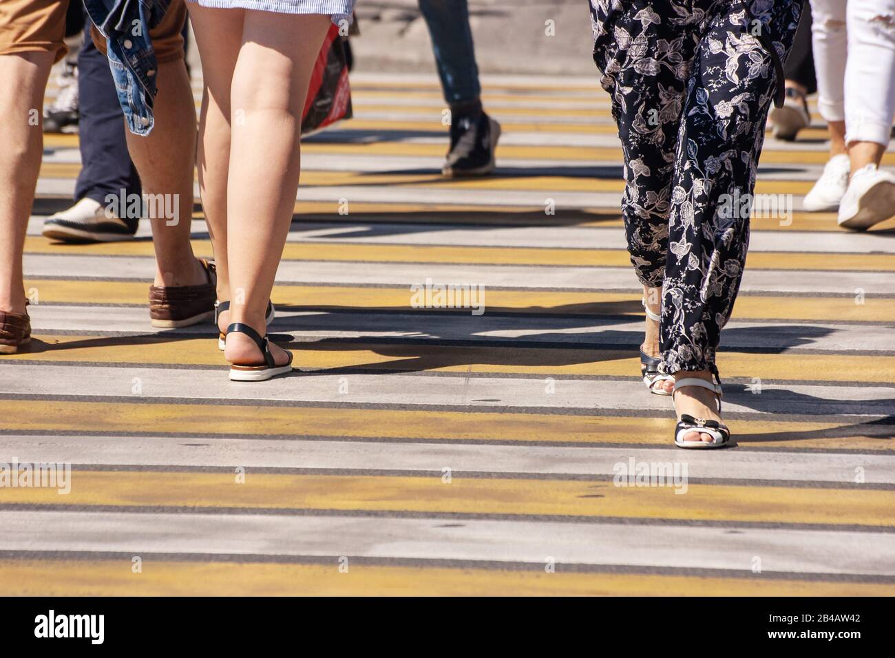people crossing the street at pedestrian crossing on sunny summer day ...
