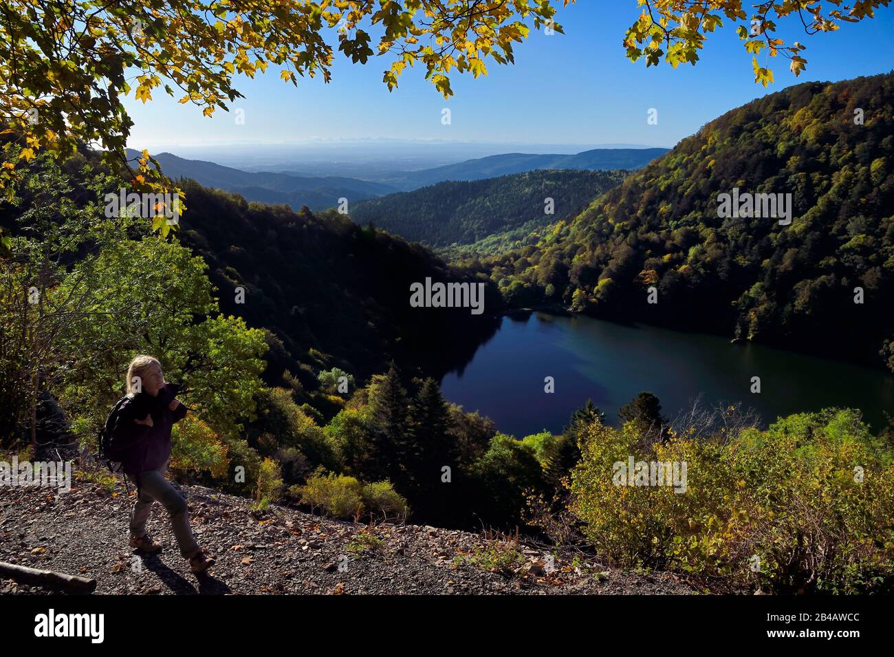 France, Haut Rhin, Ballons des Vosges Regional Natural Park, Rimbach ...