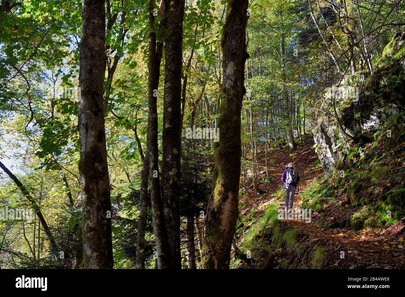 Gr5 Trail High Resolution Stock Photography and Images - Alamy