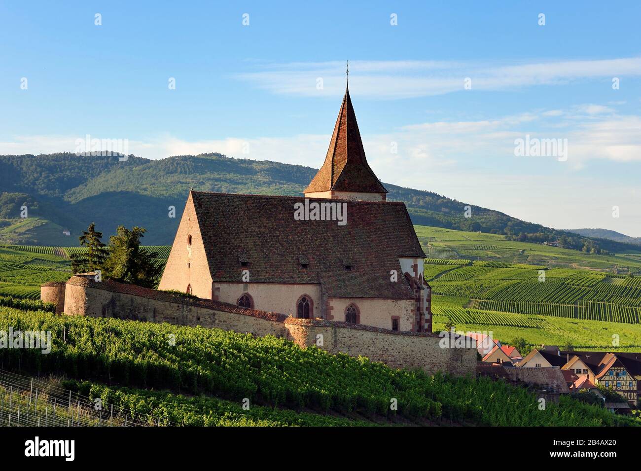 France, Haut Rhin, the Alsace Wine Route, Hunawihr, labelized the Most ...