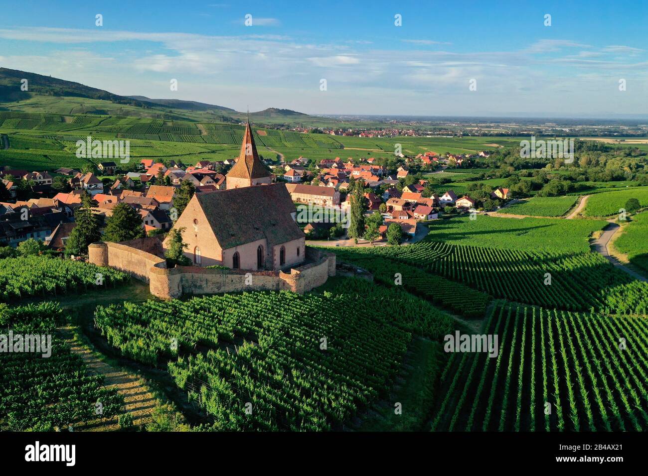 France, Haut Rhin, the Alsace Wine Route, Hunawihr, labelized the Most ...