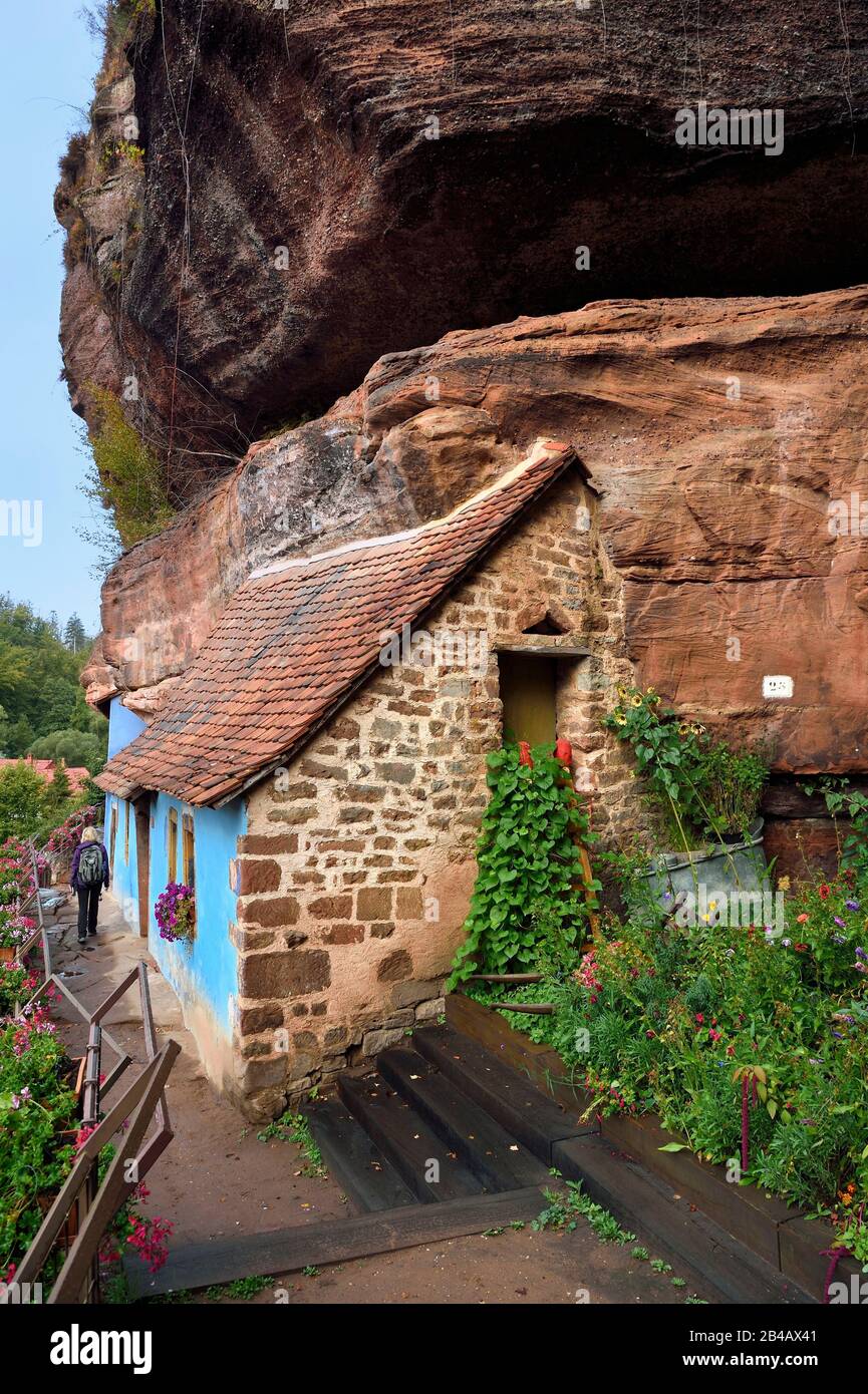 France, Bas Rhin, Parc regional des Vosges du nord (Northern Vosges ...