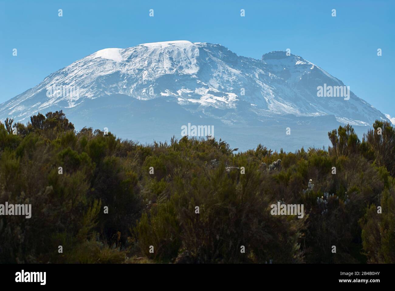 Mt Kilimanjaro's Kibo peak, seen from the Shira Plateau Stock Photo - Alamy