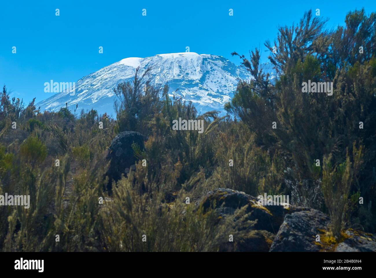 Mt Kilimanjaro's Kibo peak, seen from the Shira Plateau Stock Photo - Alamy