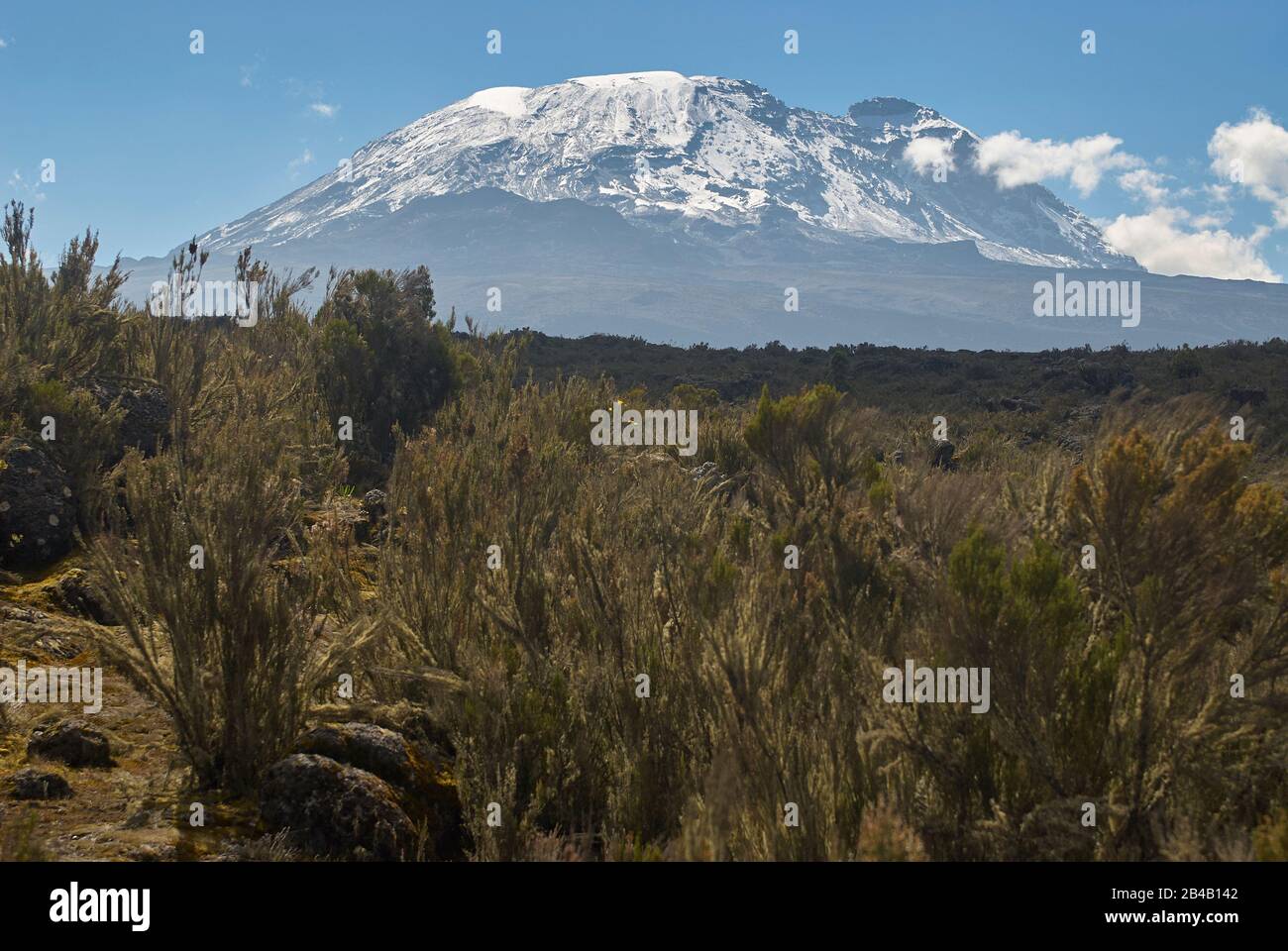 Mt Kilimanjaro's Kibo peak, seen from the Shira Plateau Stock Photo - Alamy