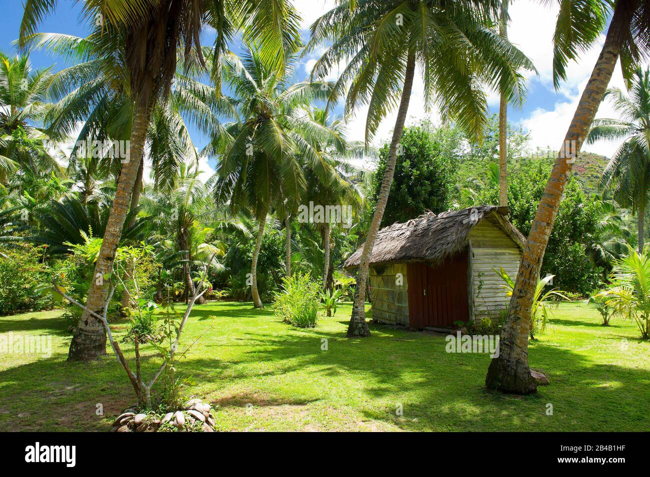 Shed hut palm hi-res stock photography and images - Alamy