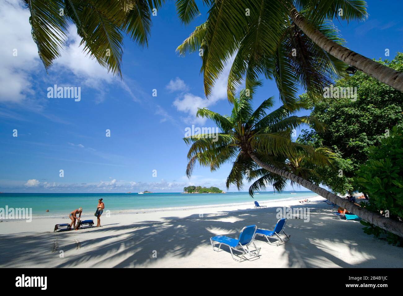 Seychelles, Praslin Island, palm trees and white sand beach in Volbert ...