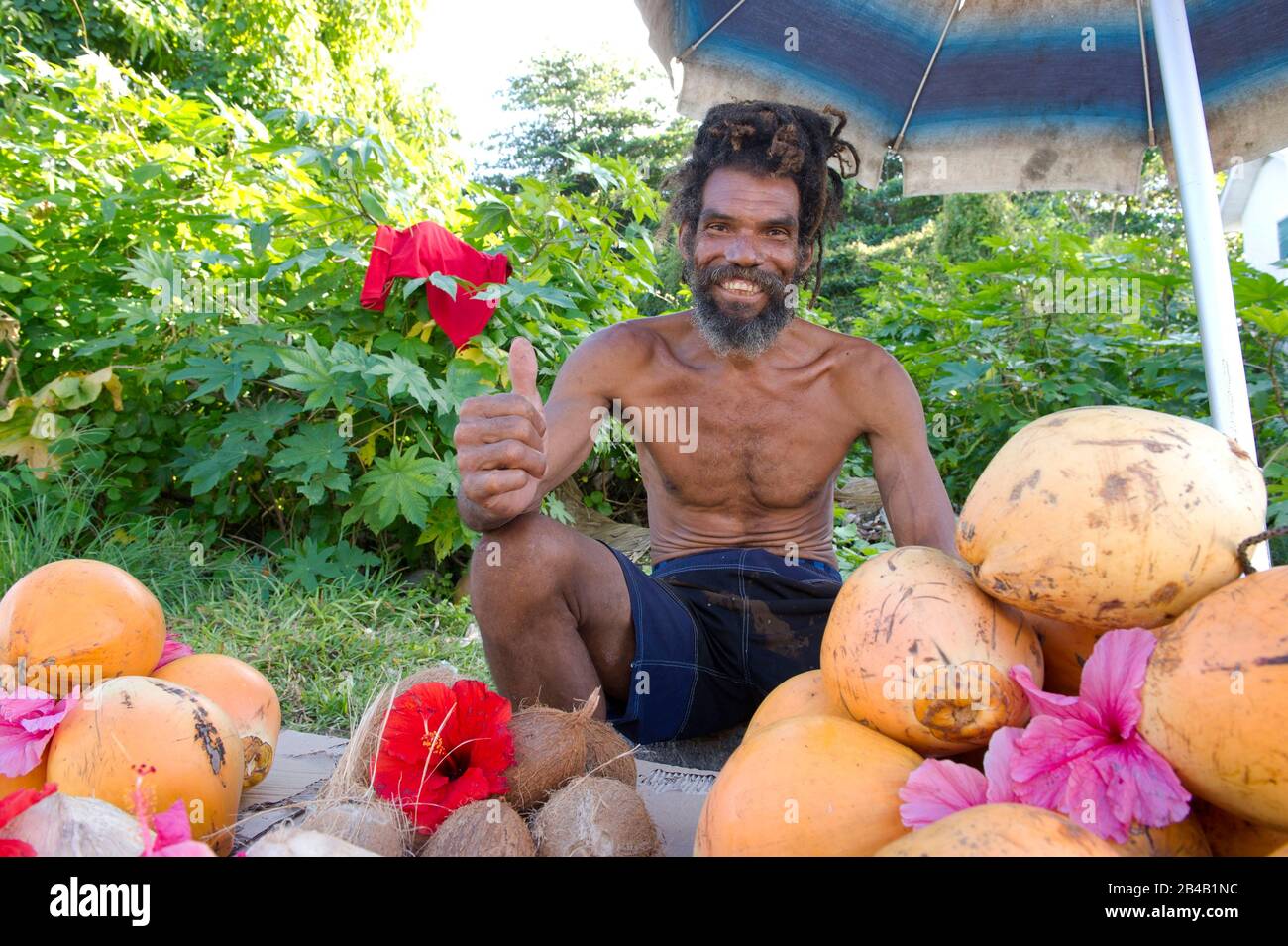 Seychelles, Praslin Island, coconut seller Stock Photo - Alamy