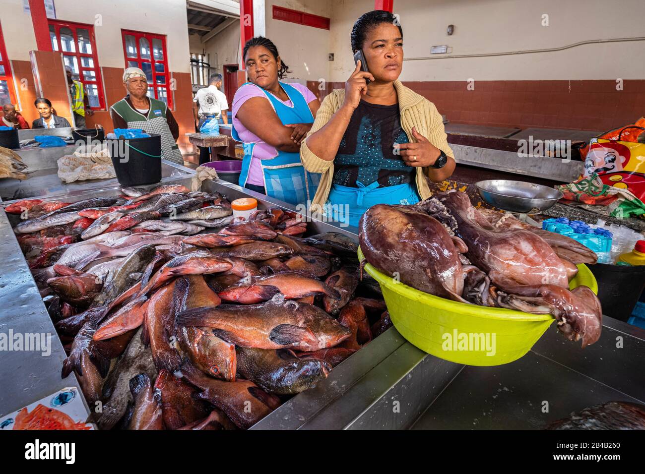 Cape Verde, Sao Vicente island, Mindelo, the fish market Stock Photo ...