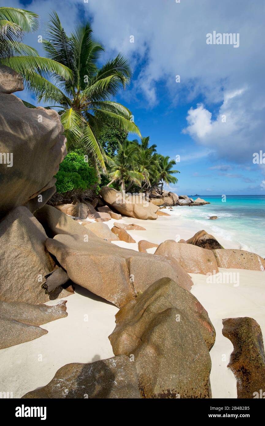 Seychelles, La Digue, beach, palm tree and granite rocks of Anse ...