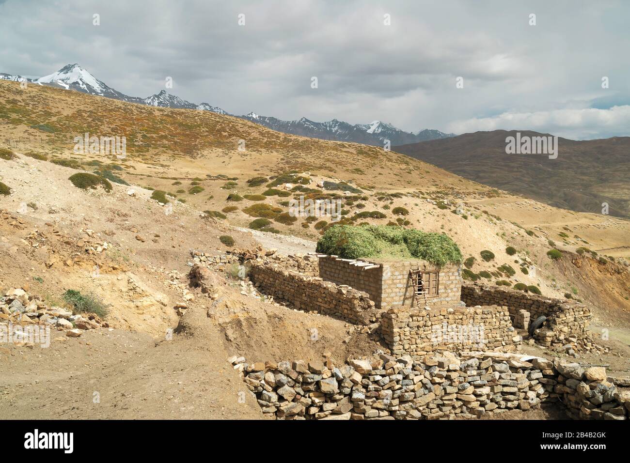 Small new build house with cattle fodder on roof surrounded by dry ...