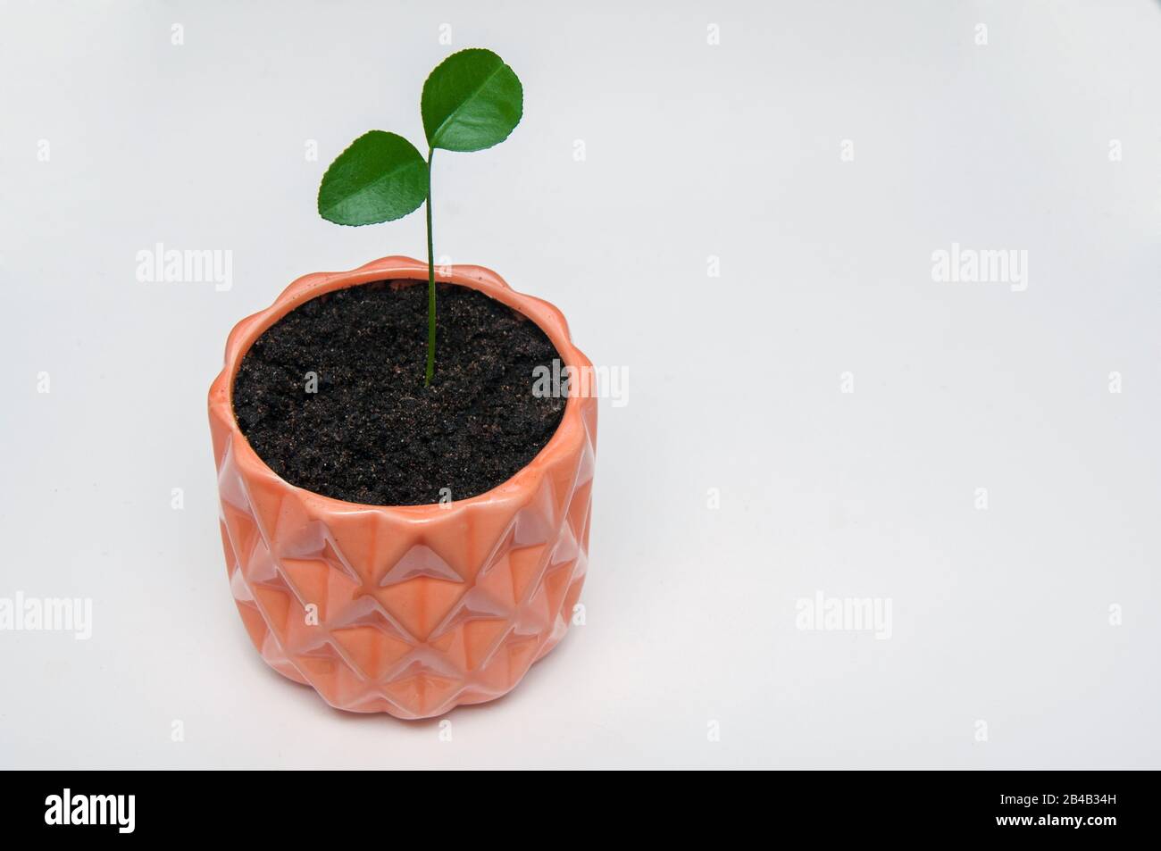 A new generation of young hi-res stock photography and images - Alamy