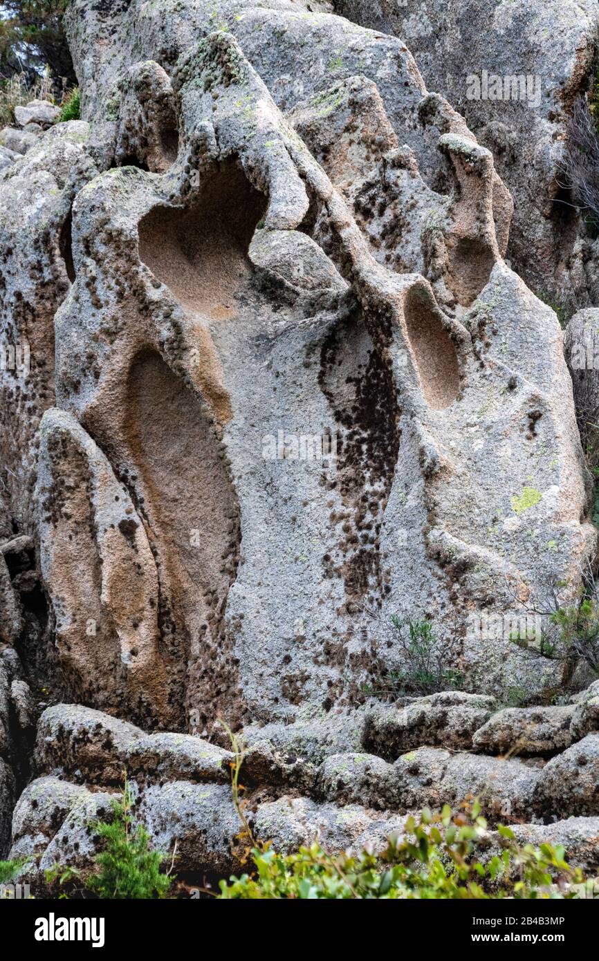 Skull in shadow hi-res stock photography and images - Alamy