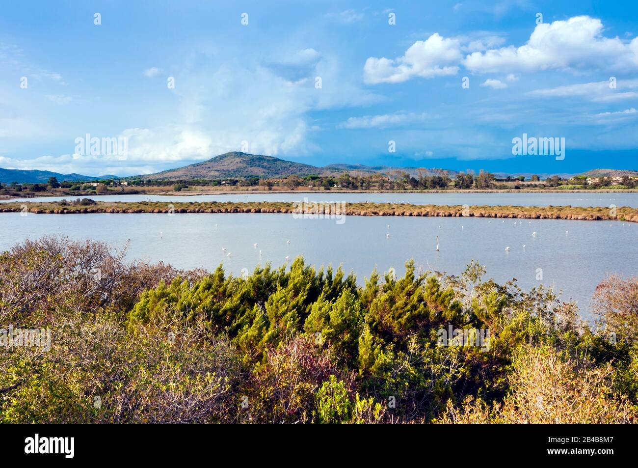 The wwf oasis lake burano hi-res stock photography and images - Alamy