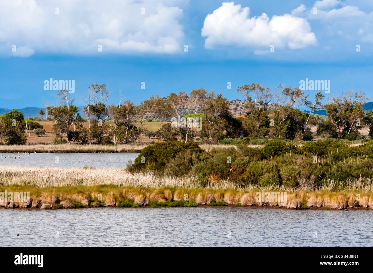Italy, Tuscany, Capalbio, Grosseto province, Maremma, Burano Lake WWF ...