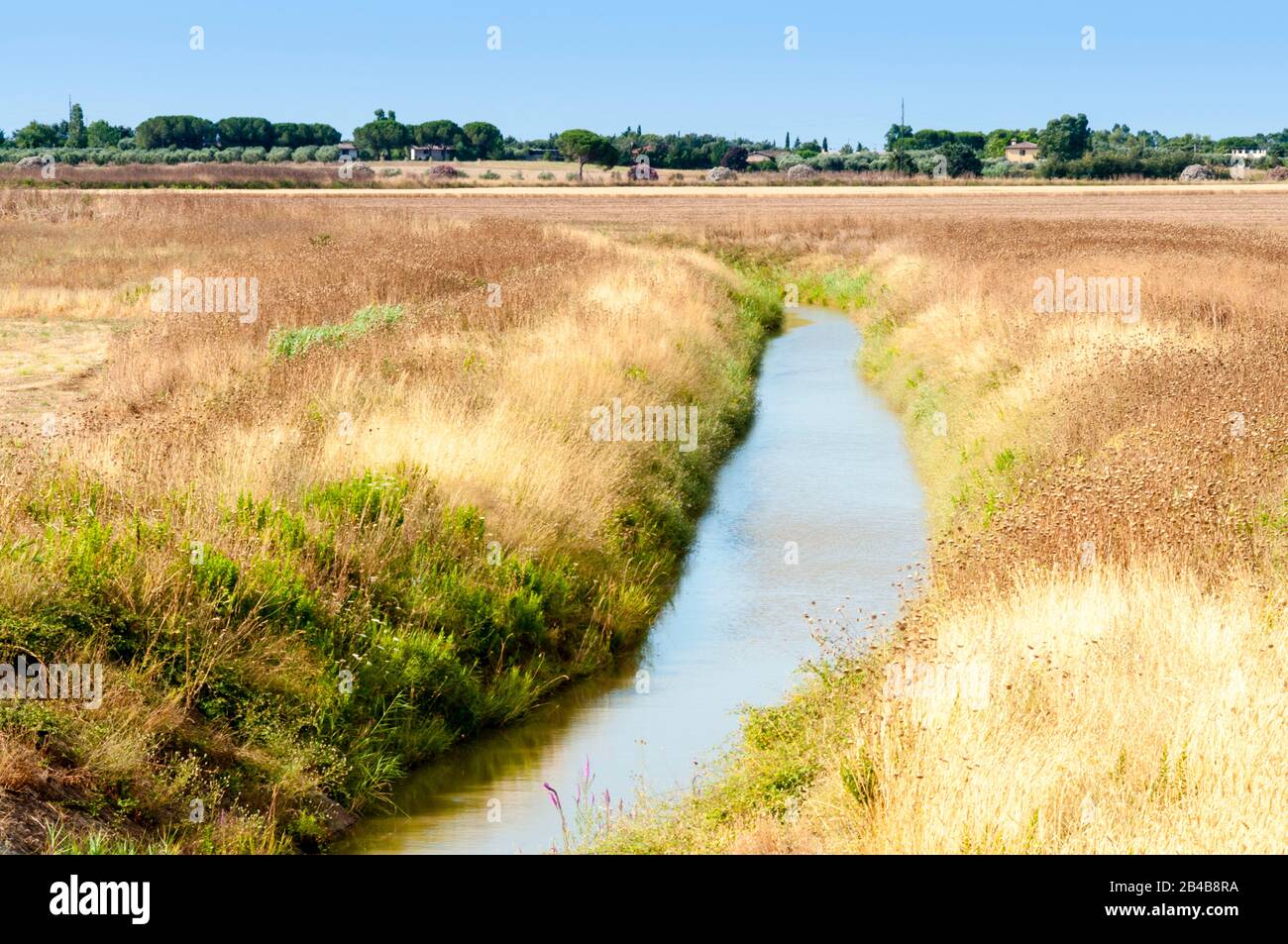 Italy, Tuscany, Capalbio, Grosseto province, Maremma, Canal from lake ...
