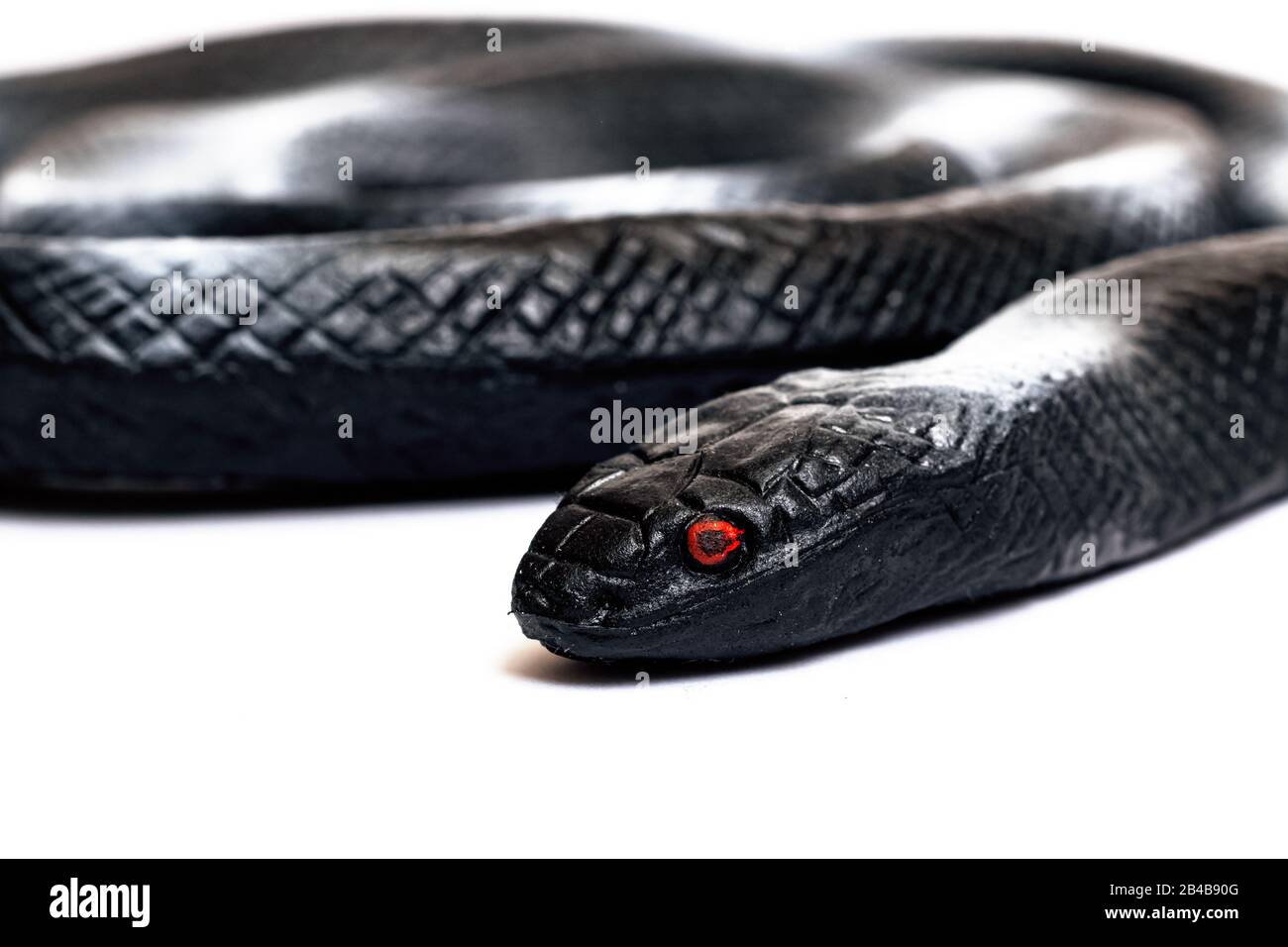 Black snake toy isolated on white background Stock Photo - Alamy