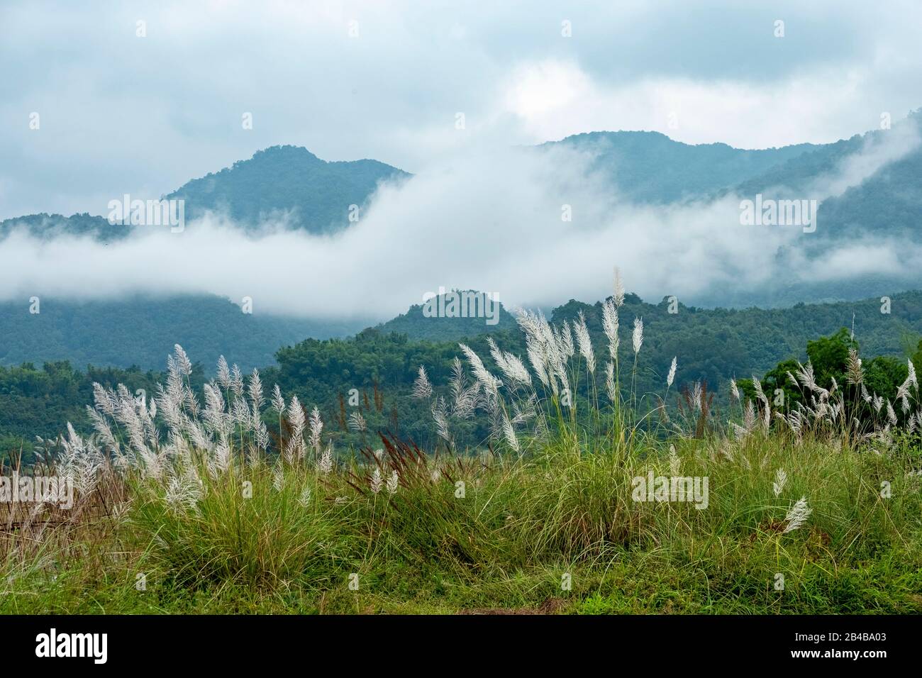 Laos, Phongsaly province, around Ou Tai town, along the river Stock ...