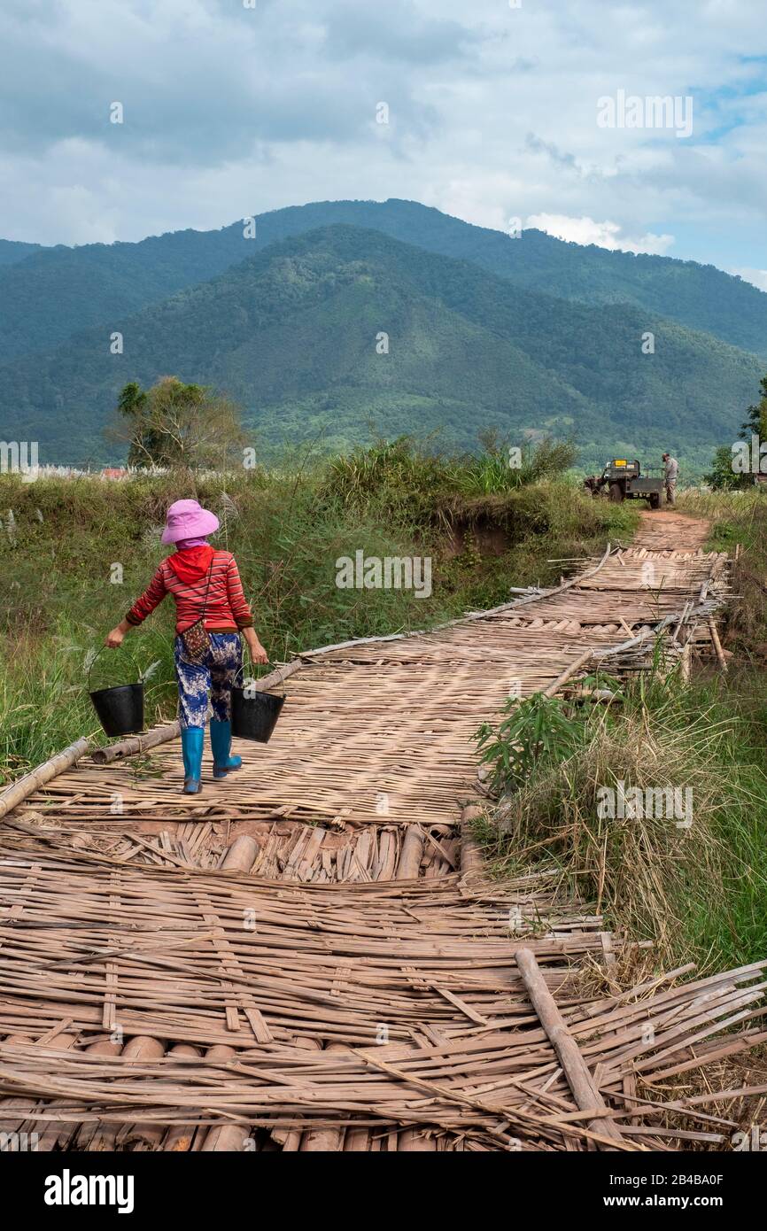 Laos, Phongsaly province, around Ou Tai town, woman crossing the bamboo ...