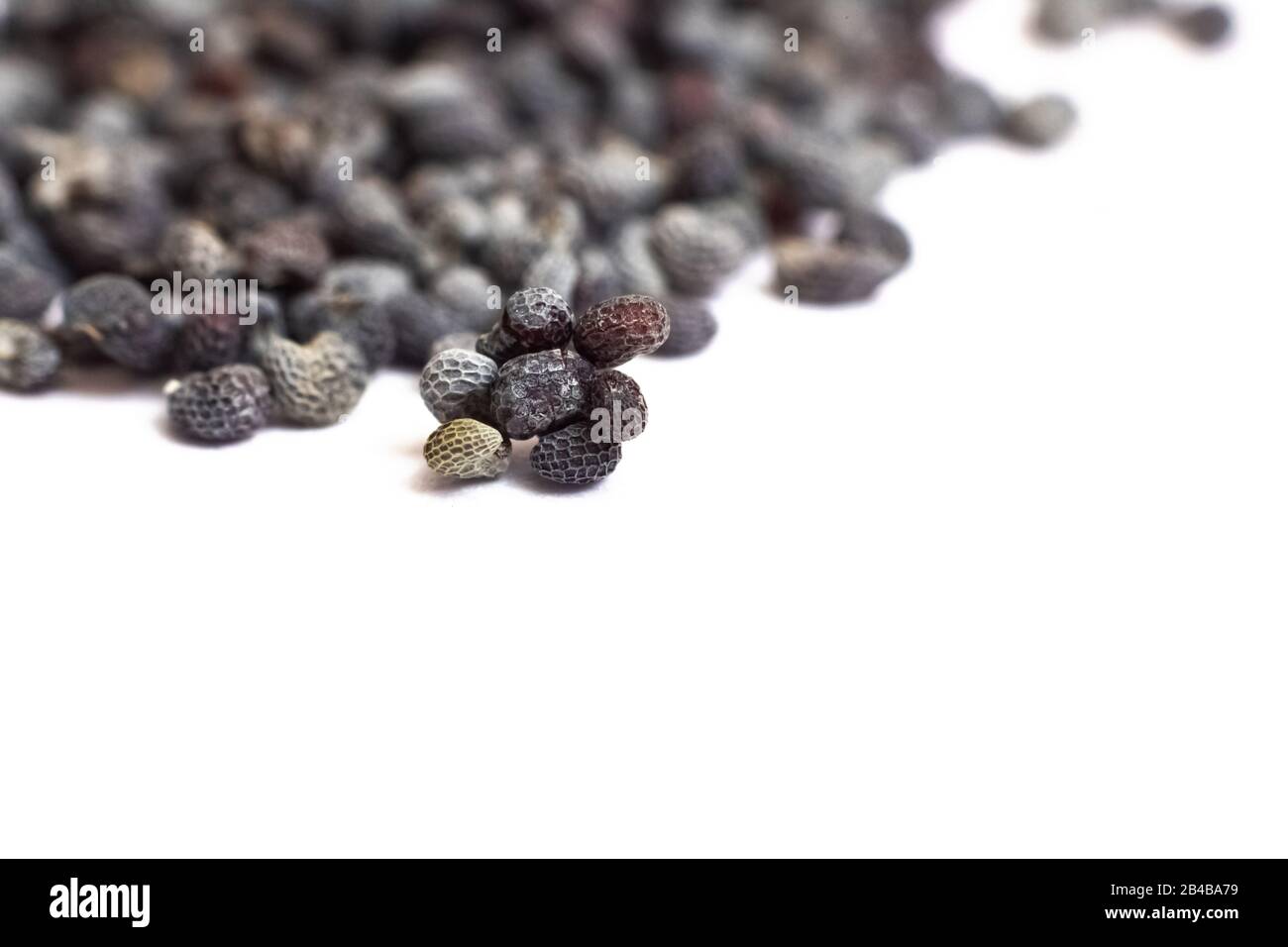 Gray dry poppy seeds, isolated on white background Stock Photo - Alamy