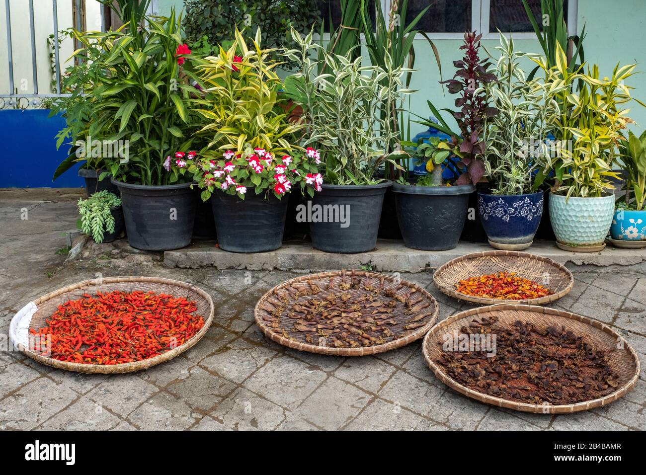 Laos, Phongsaly province, Phongsaly town, in a street Stock Photo - Alamy
