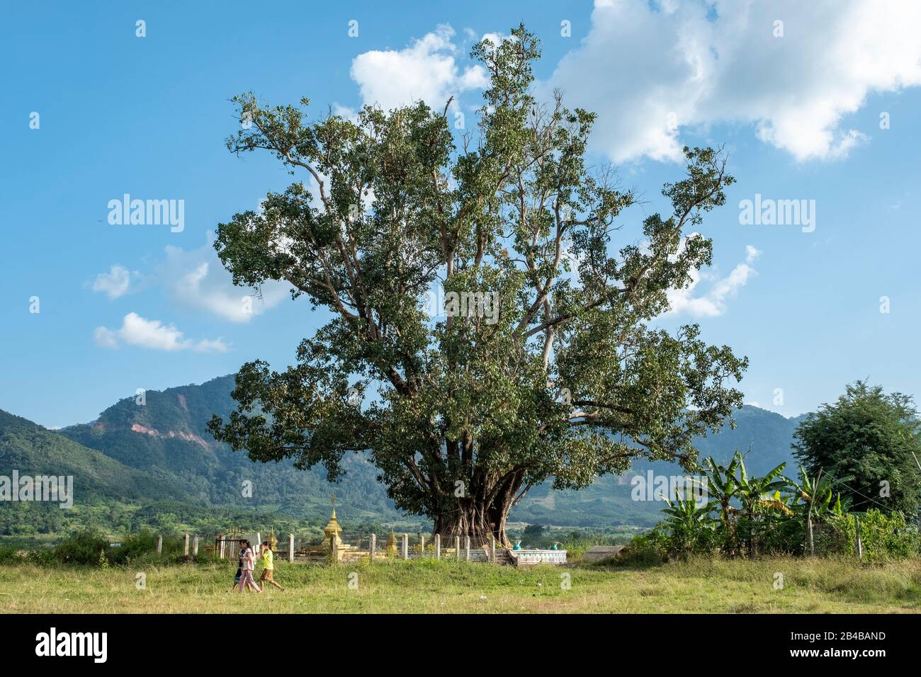 Laos, Phongsaly province, around Ou Tai town, temple Stock Photo - Alamy
