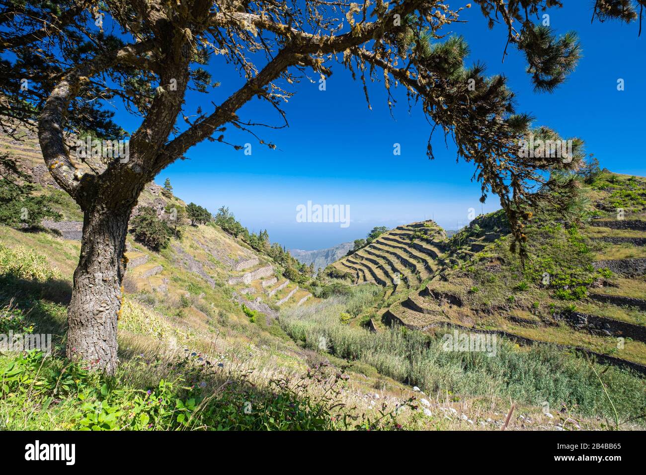 Cape Verde, Santo Antao island, landscape along the vertiginous Rope ...