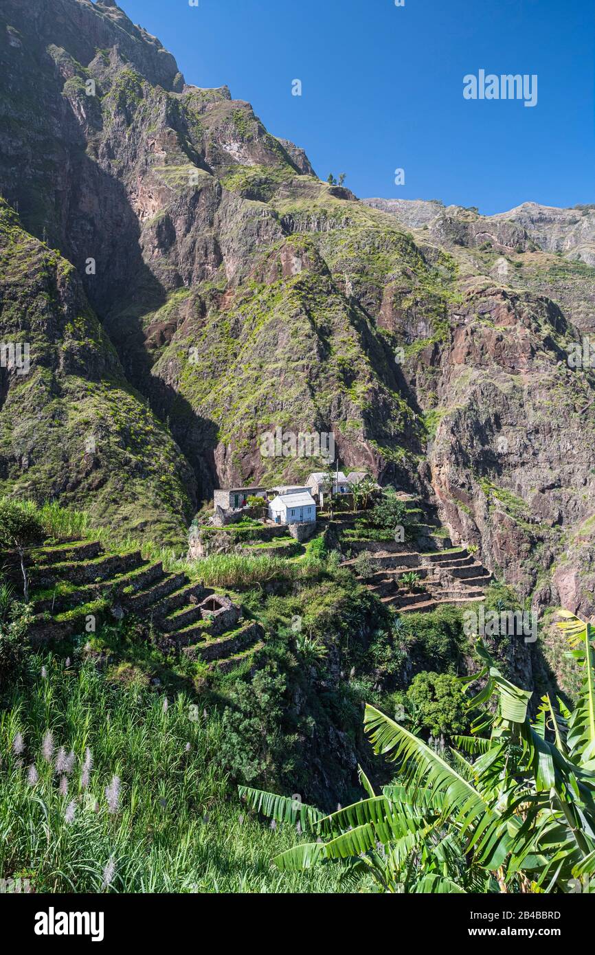 Torre vertical verde hi-res stock photography and images - Alamy