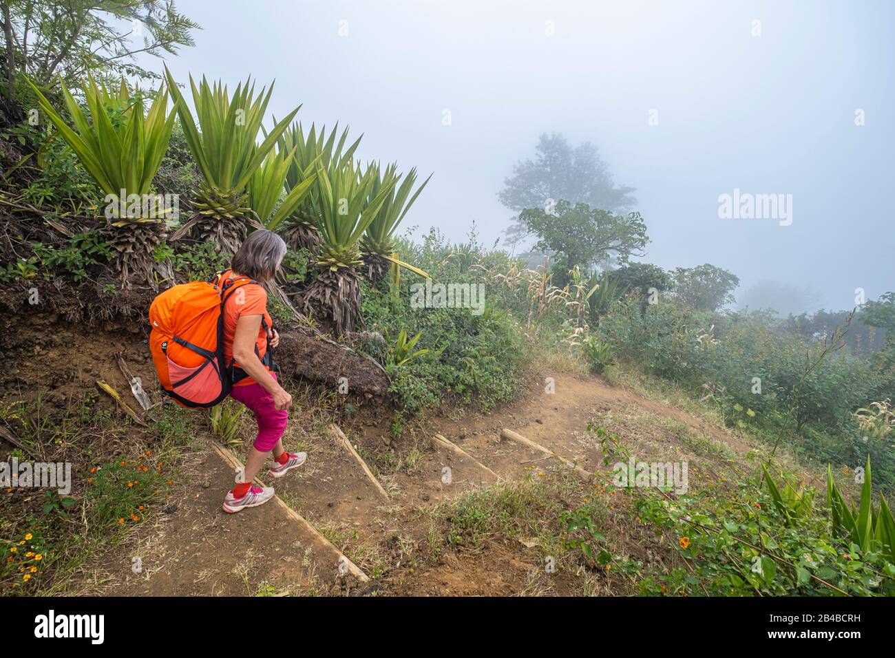 Cape Verde, Fogo island, hike from Cha das Caldeiras to Mosteiros Stock ...