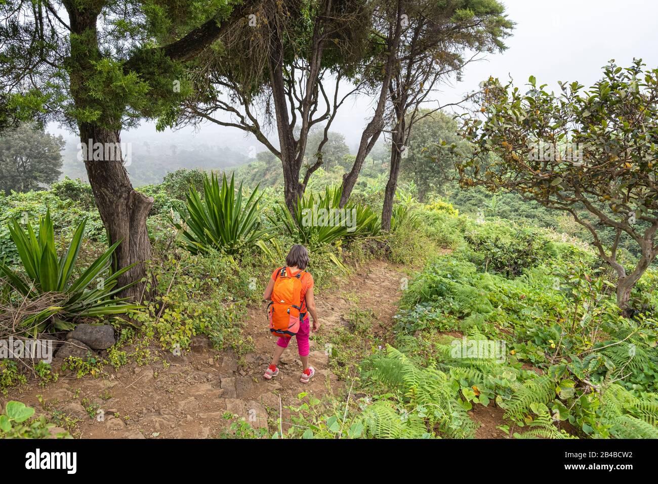 Cape Verde, Fogo island, hike from Cha das Caldeiras to Mosteiros Stock ...