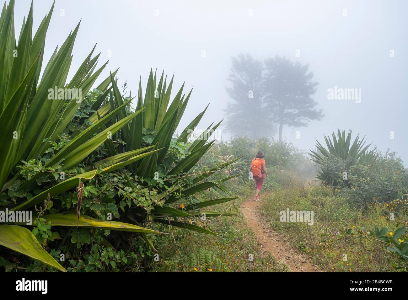 Mosteiros fogo island cape verde hi-res stock photography and images ...