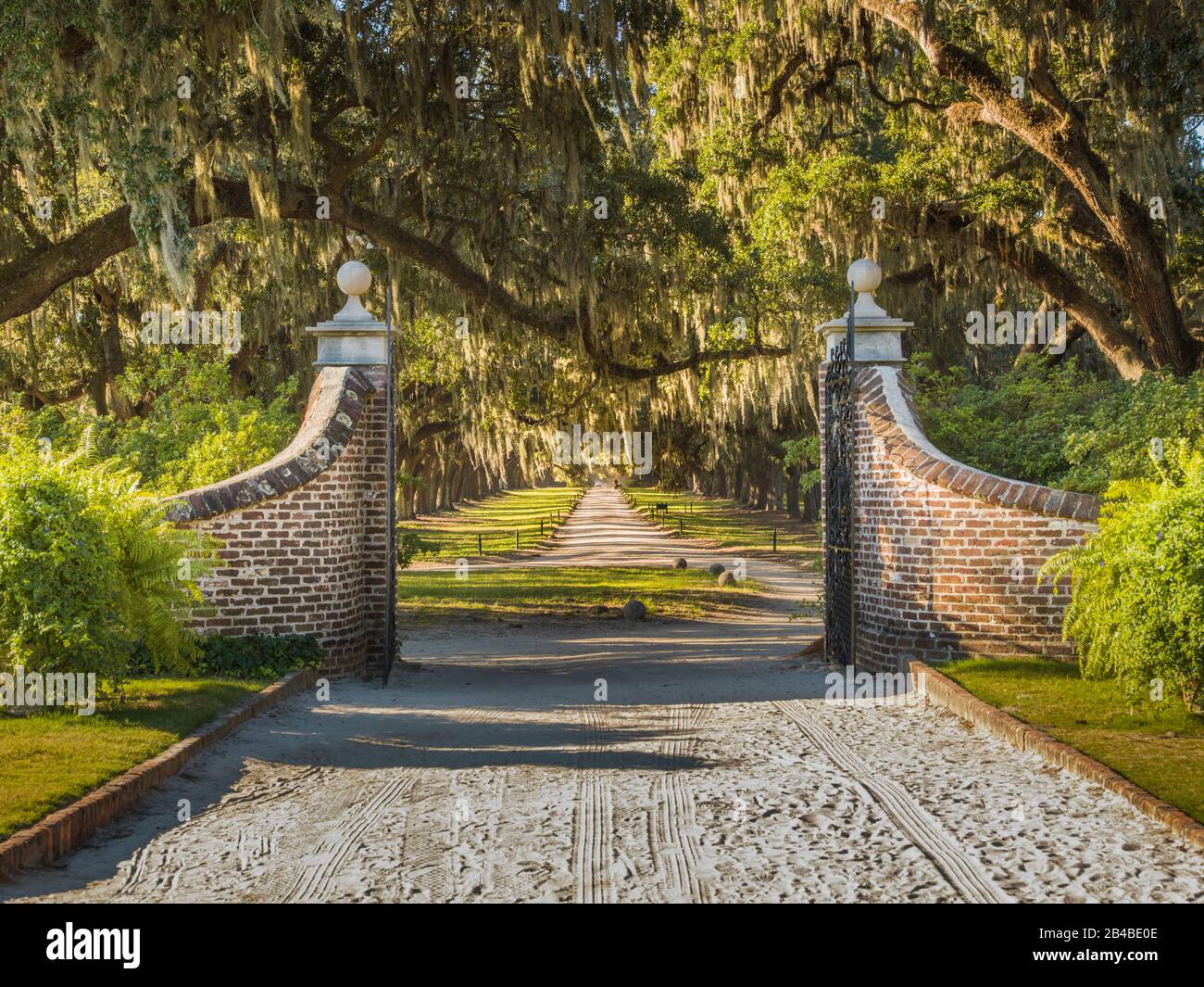Boone hall plantation charleston hi-res stock photography and images ...