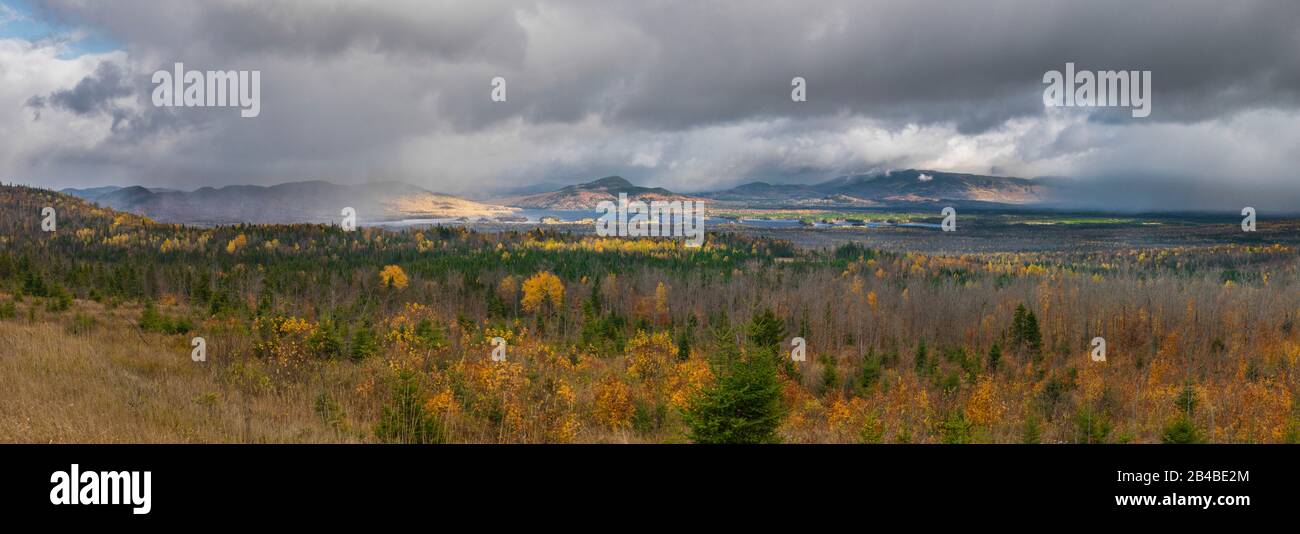 United States, Maine, Forest during Fall Stock Photo - Alamy