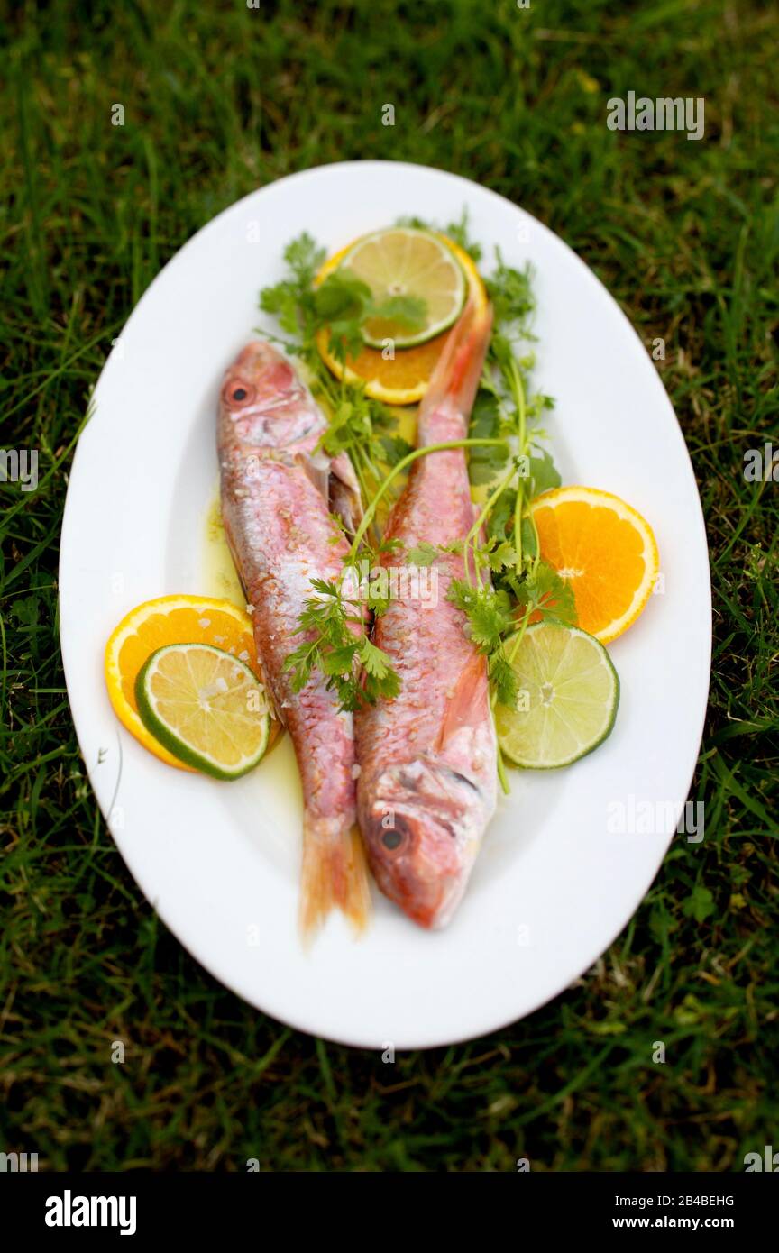 Grilled, red mullet marinated in citrus Stock Photo - Alamy